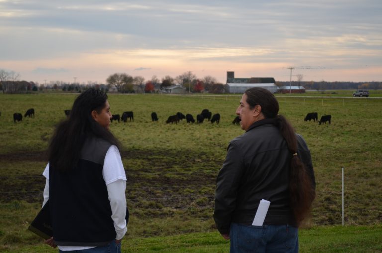 Oneida Nation | Educational Campaigns