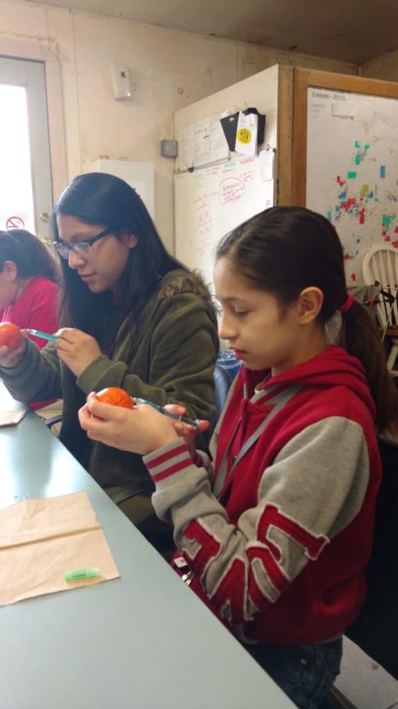 Oneida Nation | Farm