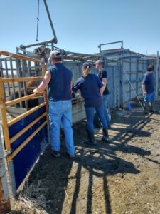 Oneida Nation | Oneida Nation Farm