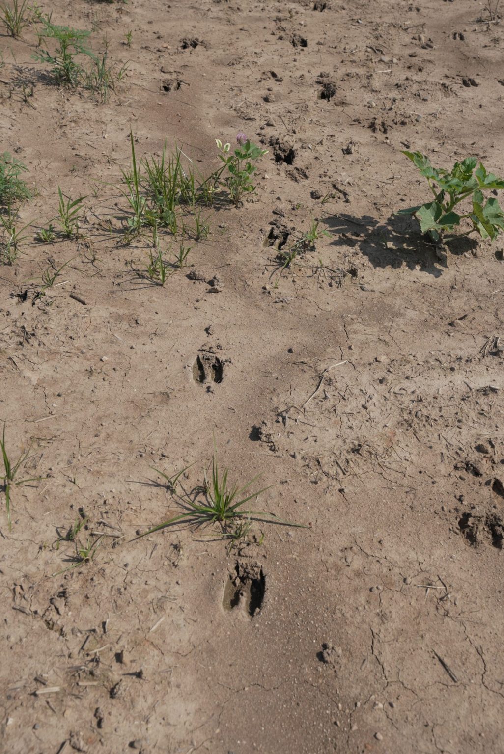 Oneida Nation | Hunting and Fishing